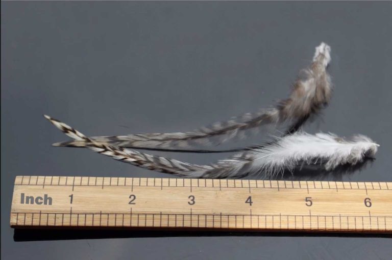 Grizzly Hackle Feathers | Pike Tying Materials | Predator Fly Fishing