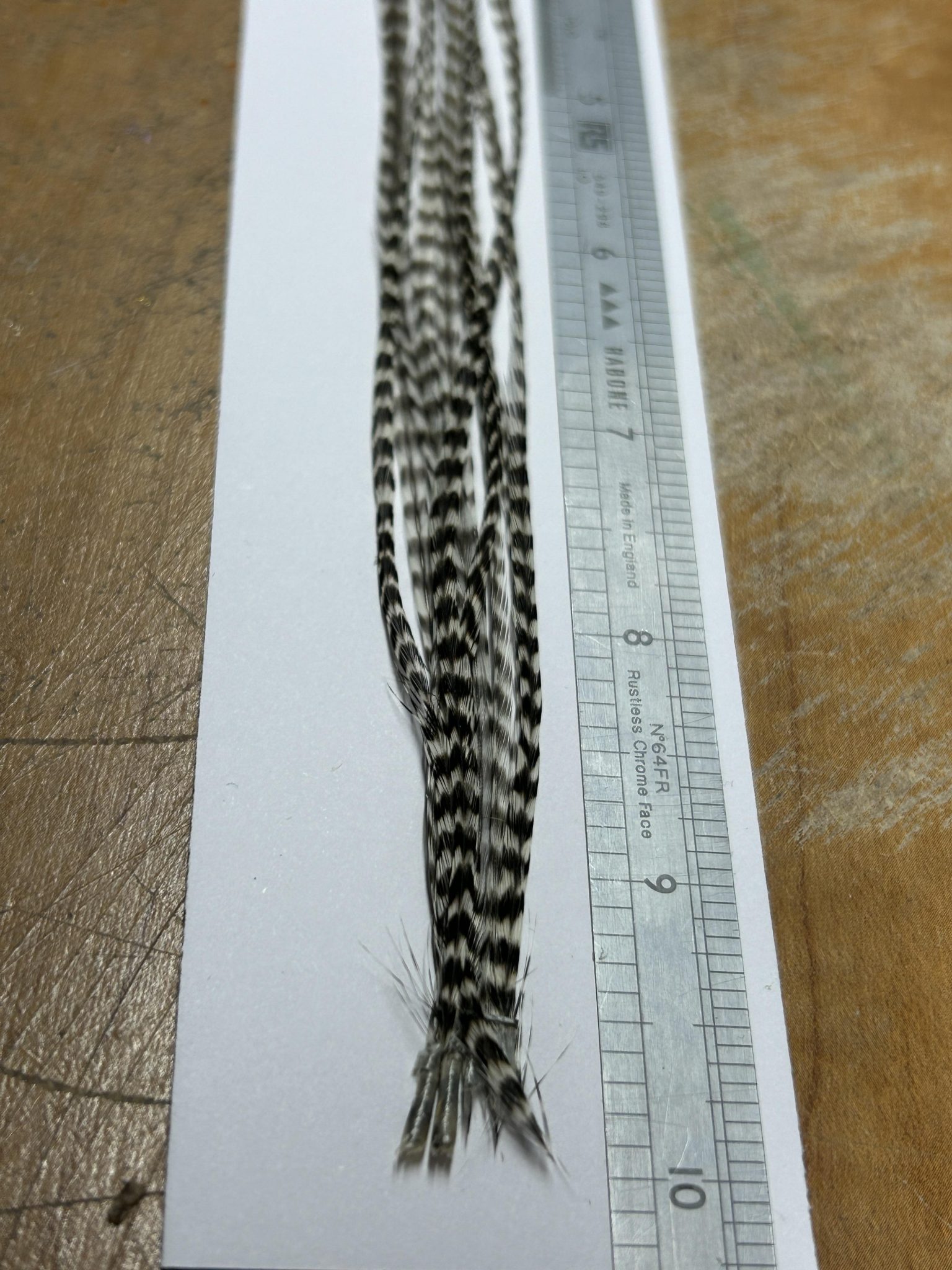 Grizzly Hackle Feathers | Pike Tying Materials | Predator Fly Fishing