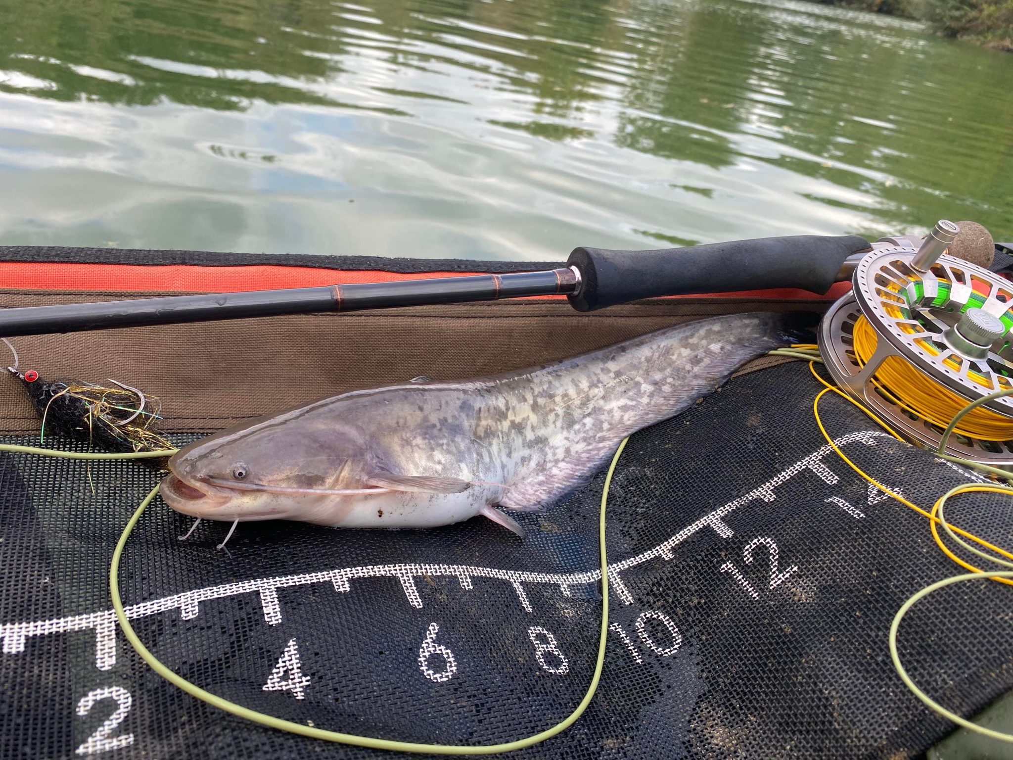 The Wels Catfish Pilgrimage | Predator Fly Fishing